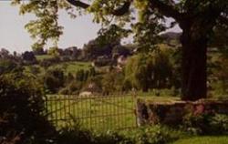 Stroud District Council, a Council in Stroud, Gloucestershire.