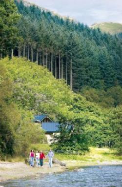 Strathyre Forest, an Holiday Park in Callander, Perthshire.